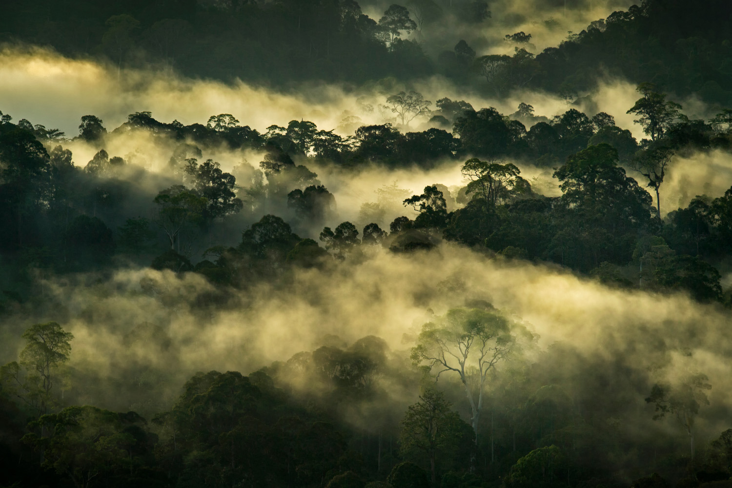 GDT Nature Photographer of the Year 2025 - The Results